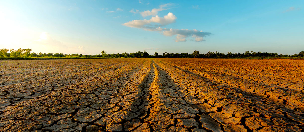 صندوق تعويض الأضرار الفلاحية الناجمة عن الجوائح الطبيعية: آلية جديدة ...